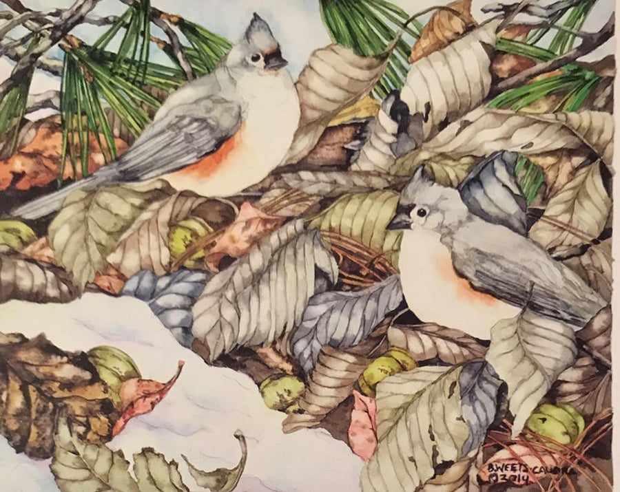 Barbara Weets: "Winter Disguise - Tufted Titmouse" – Iowa Artisans Gallery