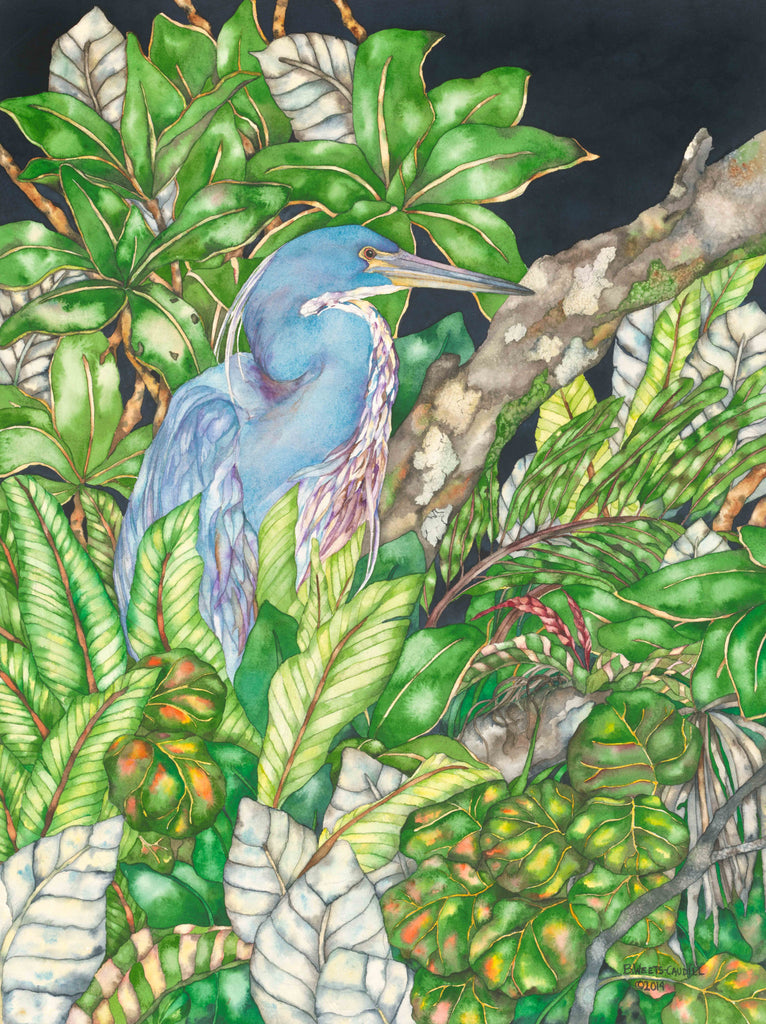 Barbara Weets: Lousiana Heron Corkscrew Swamp – Iowa Artisans Gallery