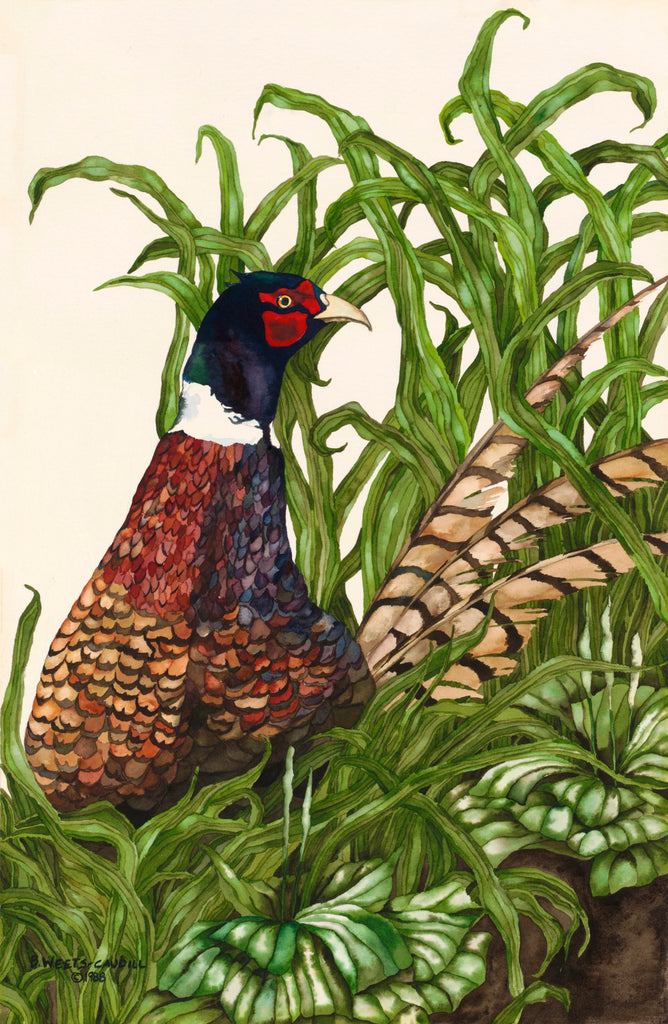 Barbara Weets: Prairieland Series: Pheasant 1 – Iowa Artisans Gallery